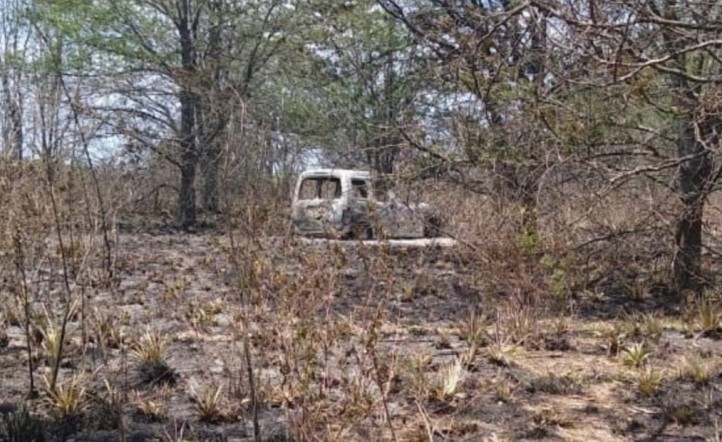 Hallan dos cuerpos calcinados en Guernica: investigan si son de dos jóvenes desaparecidos tras ...